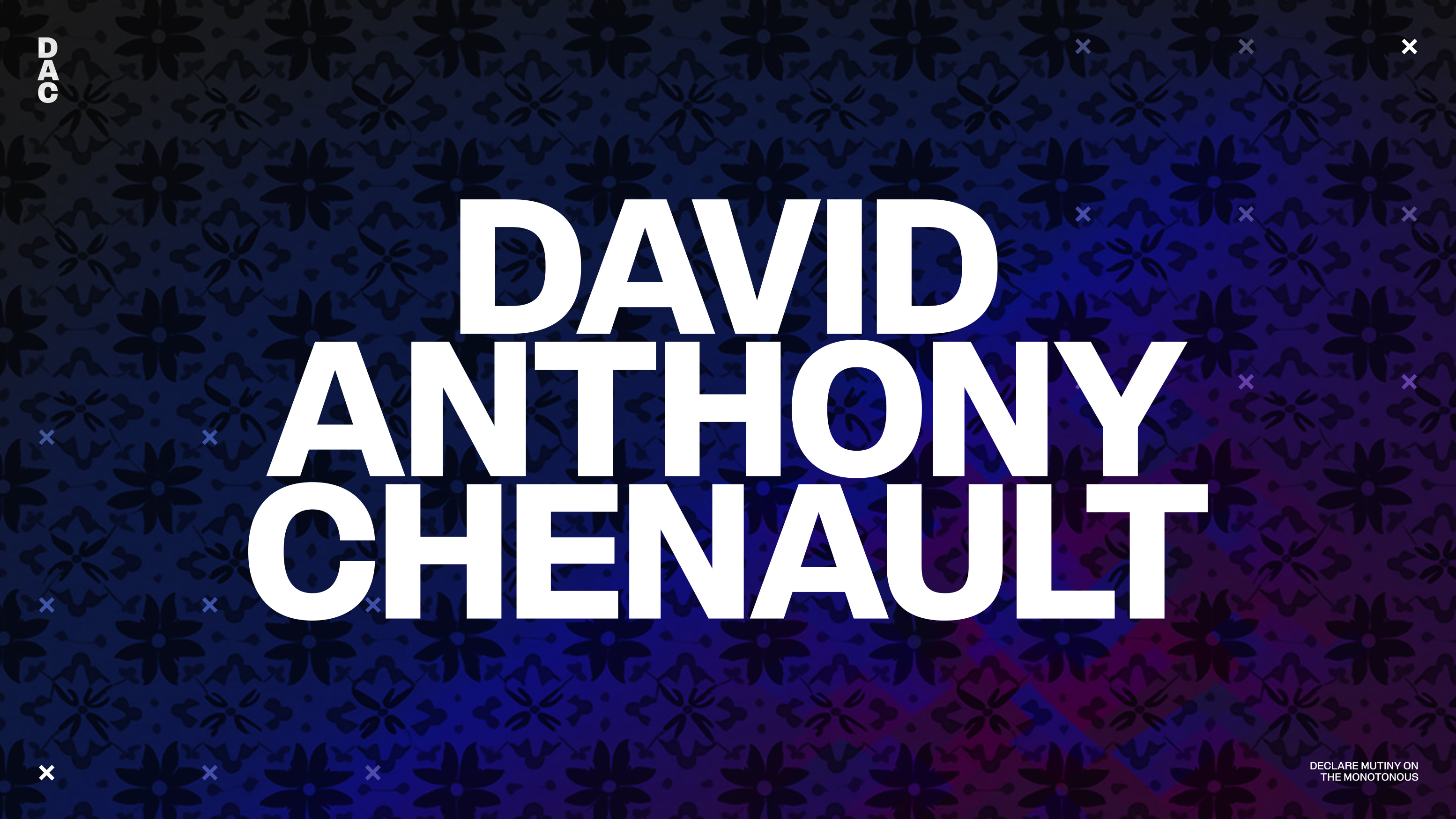 Paper Tiger | David Anthony Webflow Website Wins Site of The Day on Awwwards